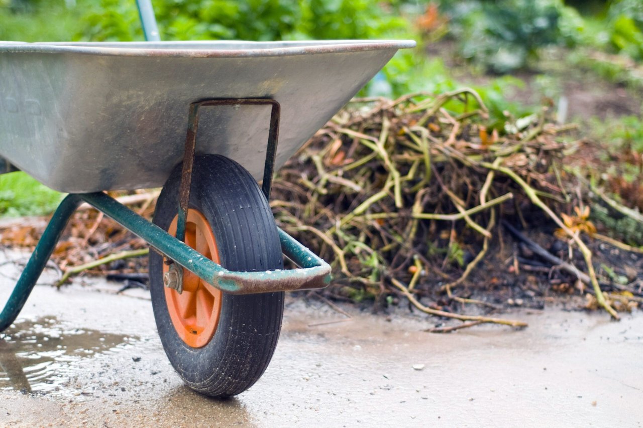 Spring Yard Cleanup Guide